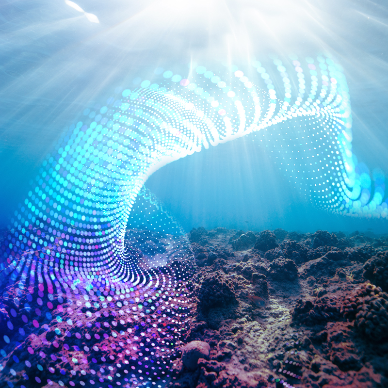 Asddsa Spp 2100 Soft Material Robotics